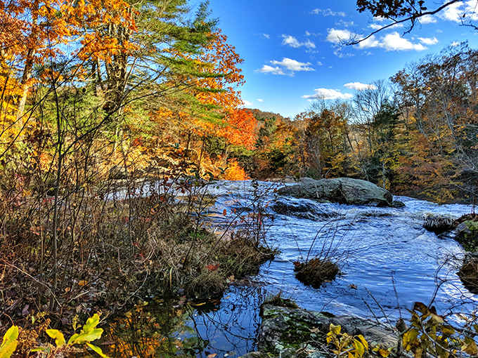 Brilliant orange and gold foliage frames the rushing stream in this perfect New England autumn scene.