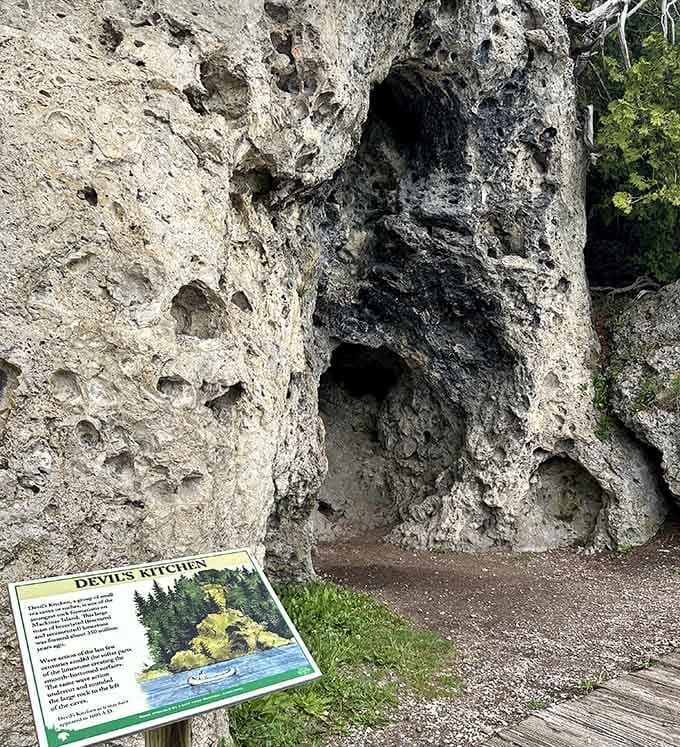 Up close, the limestone reveals its pockmarked texture, each hole telling a story of wind and water's patient work.
