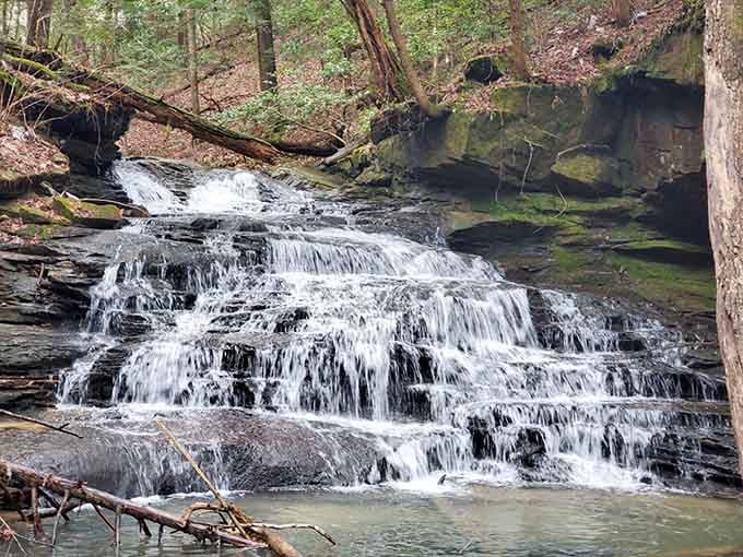 The gentle cascade creates multiple tiers of flowing water, each level adding its own musical note to the forest symphony.