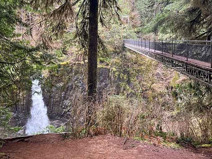 The footpath view reveals how the bridge hovers above the gorge, offering thrilling perspectives for adventurous souls.