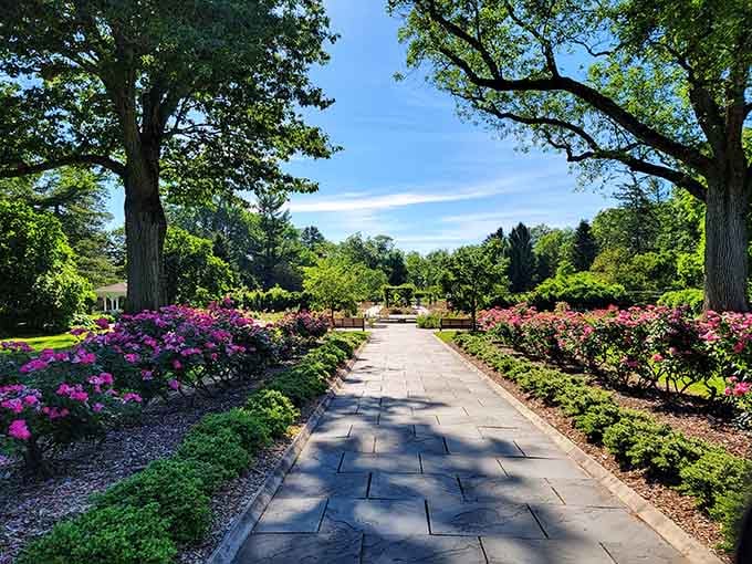 This stone pathway lined with blooming azaleas feels like walking through a Monet painting, minus the museum crowds.