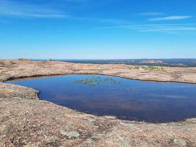 A vernal pool catches rainwater on solid rock, creating a mirror that reflects endless Hill Country skies above.