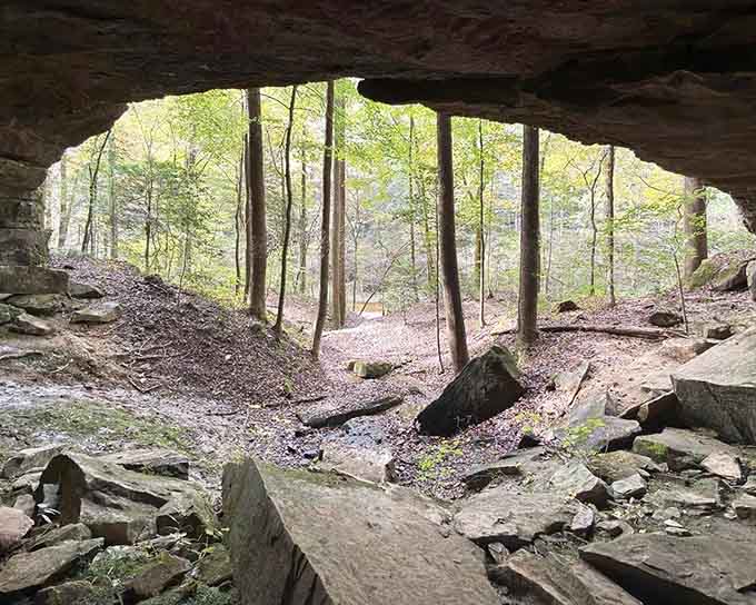 Looking out from beneath this massive rock overhang feels like discovering your own private cathedral carved by time.