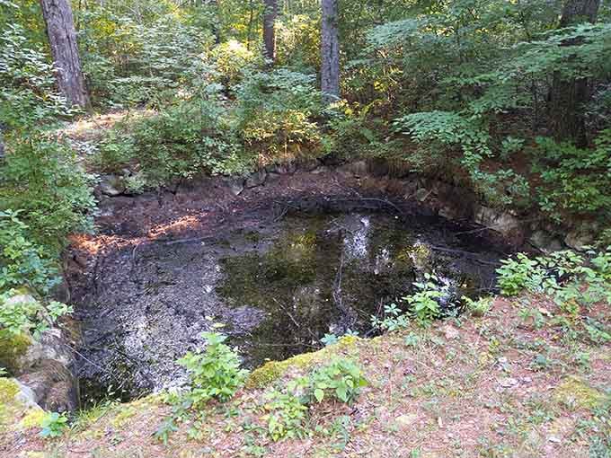 Dark water pools mysteriously among the trees, creating the kind of atmosphere that spawns countless spooky legends.