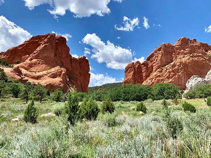 Summer greenery softens the dramatic red rocks, creating a perfect balance between rugged and gentle beauty.
