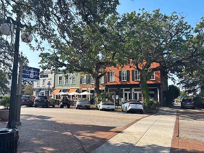Ancient live oaks drape their branches over Georgetown's sidewalks, offering natural canopies that have sheltered generations of coastal residents.