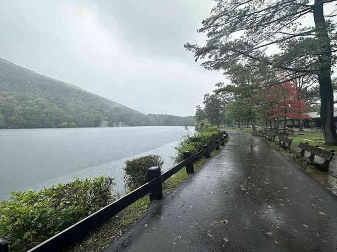 The rain-slicked path along the water's edge offers quiet moments that busy lives rarely provide anymore.