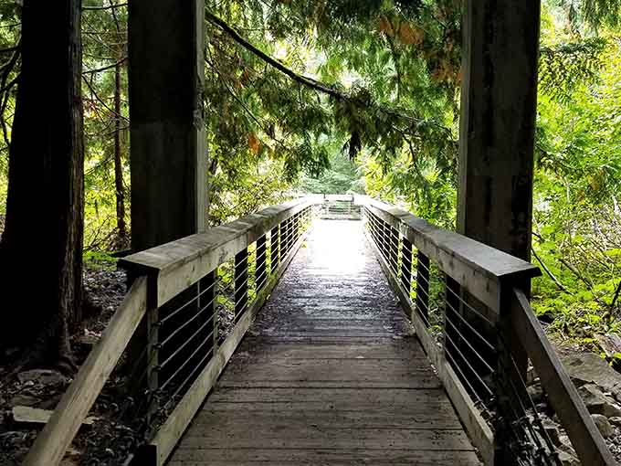 This wooden footbridge leads deeper into the forest, inviting exploration while those towering pillars hint at forgotten railroad history.