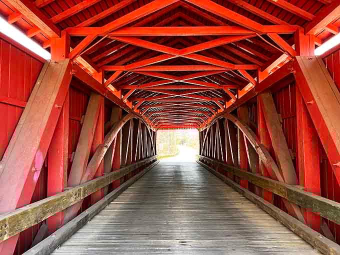 Step inside this wooden tunnel where sunlight filters through and shadows play tricks on your imagination.