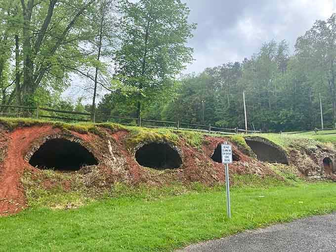 Industrial archaeology at its finest, where history literally emerges from the hillside in perfect brick arches.