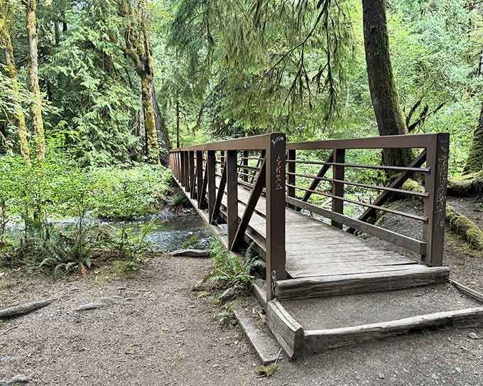 A sturdy footbridge crosses the rushing stream, connecting you to wilderness that feels wonderfully untouched by modern life.