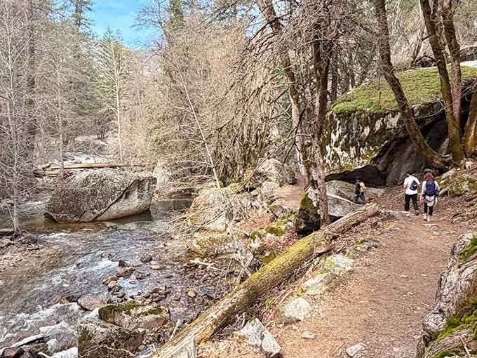 Creek-side walking where water babbles its own soundtrack, better than any playlist you could download.