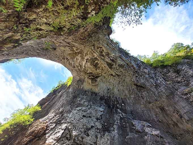 Looking up through the massive natural arch reveals layers of geological history framed by vibrant green foliage.