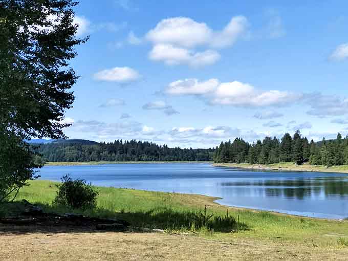 Blue skies reflect perfectly in calm waters where the shoreline curves gently through meadows and evergreen forests.