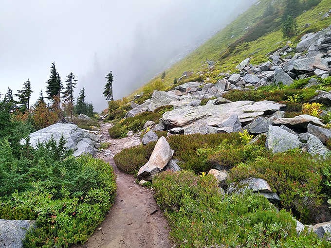 Rocky alpine trails wind through wildflowers where the air tastes crisp and the views stretch forever onward.