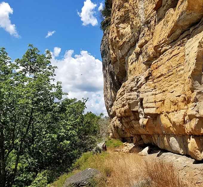 The golden limestone rises from the river like a natural skyscraper, each layer a different chapter in geological time.