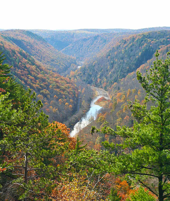 The gorge cuts deep through autumn forests, revealing layers of color like a perfectly made seven-layer dip.