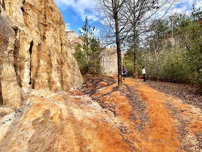 Walking this rust-colored canyon floor between towering clay walls feels like exploring another planet right here at home.