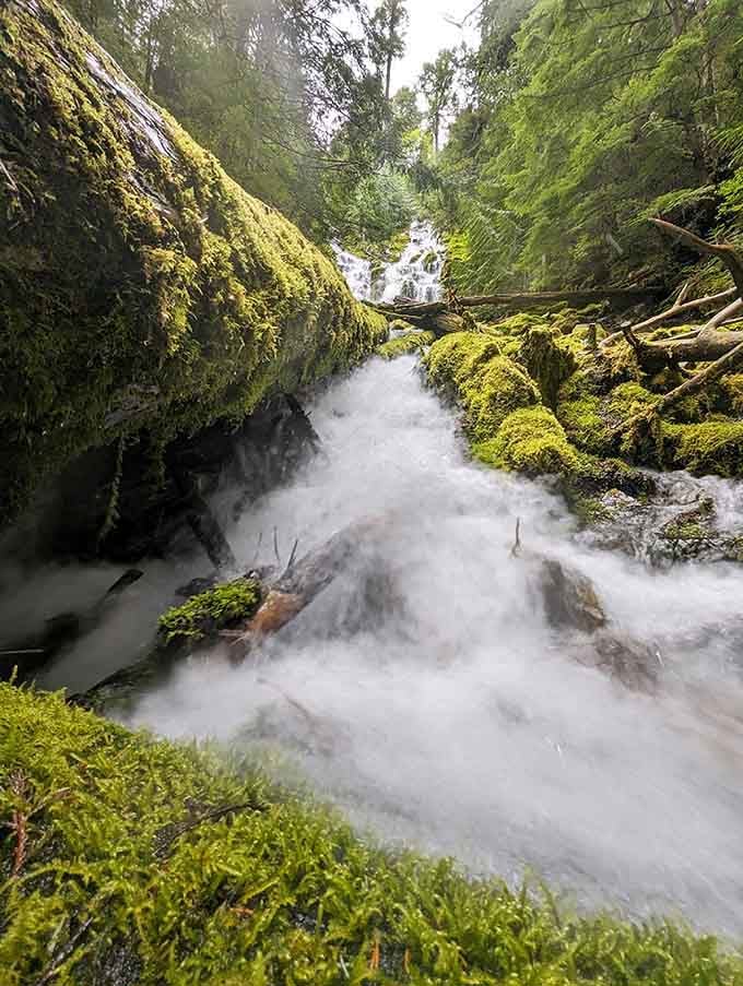 The rushing stream below mirrors the falls above, creating a symphony of water music in this enchanted forest setting.