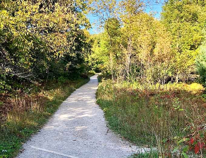 A paved path ribbons through wild grasses and autumn colors, proving accessibility and beauty make perfect hiking companions together.