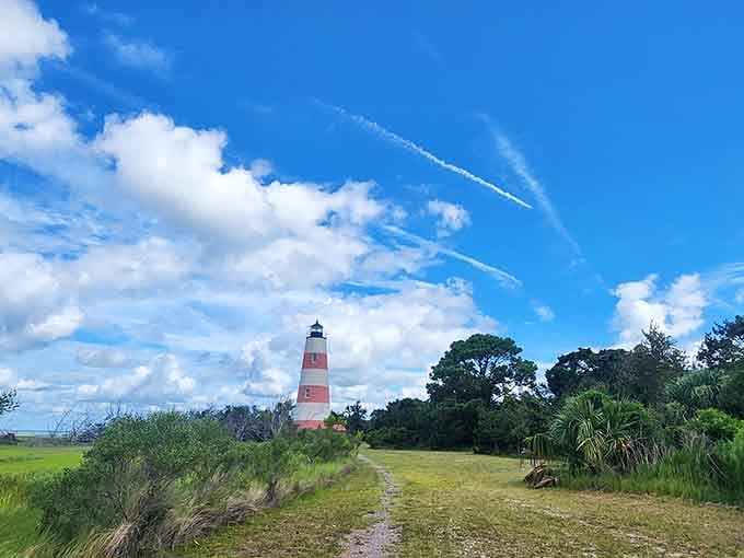 Dramatic clouds sweep across the coastal sky while palmettos frame this historic beacon like nature's own postcard design.