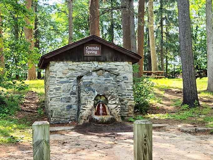 The historic spring house stands quietly among tall pines, offering mineral water that's been bubbling up for centuries.