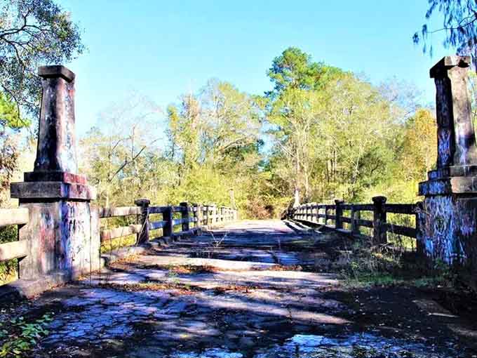 Morning light filters through the trees onto this historic bridge where countless stories have unfolded over the decades.