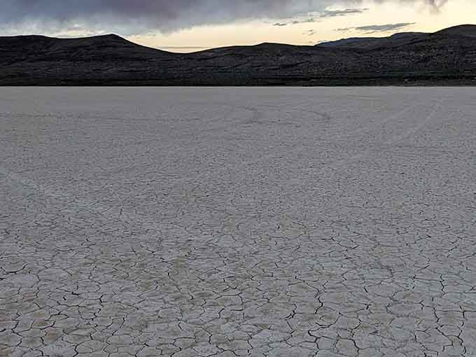 The cracked earth stretches endlessly here, creating patterns that look like nature's own abstract art installation.