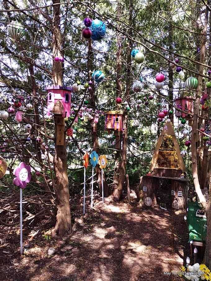 Colorful birdhouses and miniature dwellings transform ordinary woods into a magical village bursting with whimsical details.