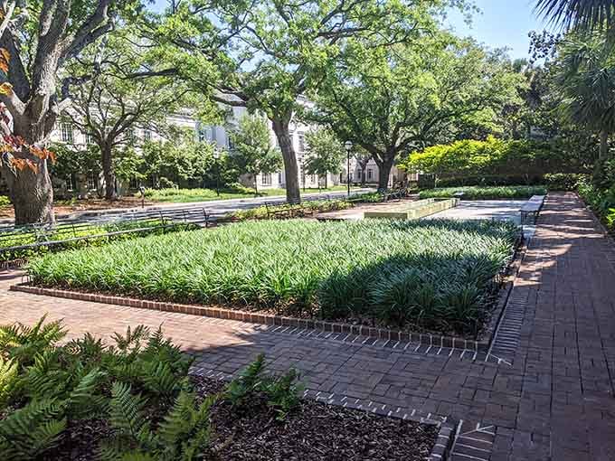 Fresh spring greenery frames this peaceful urban oasis where benches wait patiently for contemplative visitors.