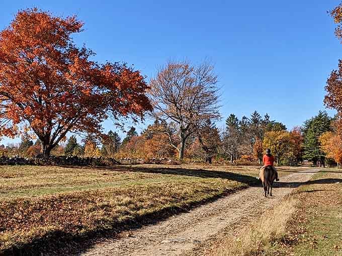 Autumn's golden hour transforms a simple horseback ride into a scene worthy of any classic painting.