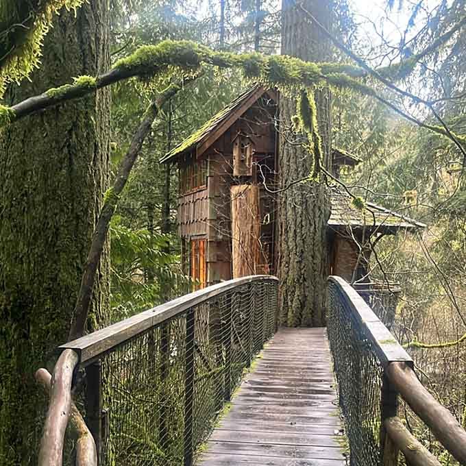 Moss-draped branches frame this forest hideaway where you'll sleep among the trees like a woodland creature.