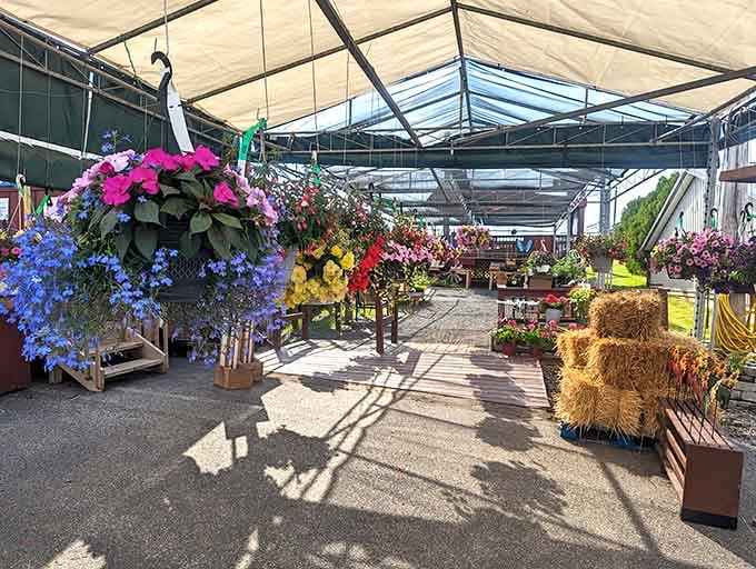 Step inside this greenhouse wonderland where hanging baskets overflow with blooms that put your backyard garden to shame, lovingly.