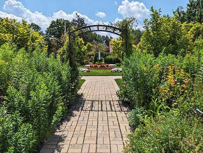 A brick pathway leads through towering green walls toward a garden arch, inviting you into what feels like a secret world.