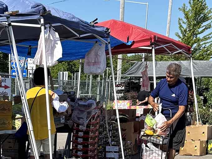 Vendors set up shop under colorful canopies, creating a bazaar atmosphere that makes every purchase feel like an adventure.