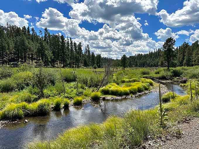 This meandering stream knows exactly where it's going, even if you're perfectly happy getting lost here.