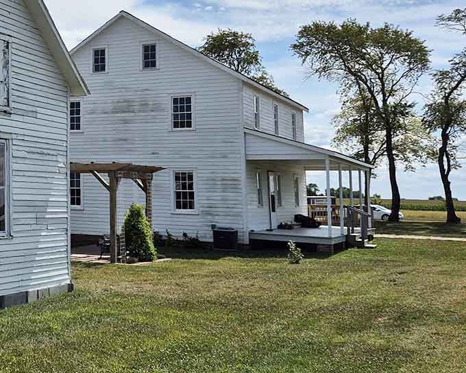 The Illinois Amish Heritage Center offers context and understanding, helping visitors appreciate the culture that makes Arthur truly special.