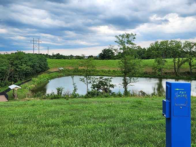 Rolling hills and peaceful waters create the kind of scenery that makes you forget your phone exists entirely.