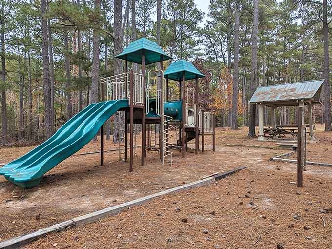Modern playground equipment that'll actually keep the grandkids entertained for more than five minutes.