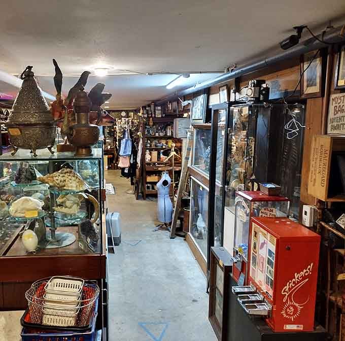 Navigate aisles packed with treasures where metalwork, glassware, and curiosities compete for your attention and wallet space.