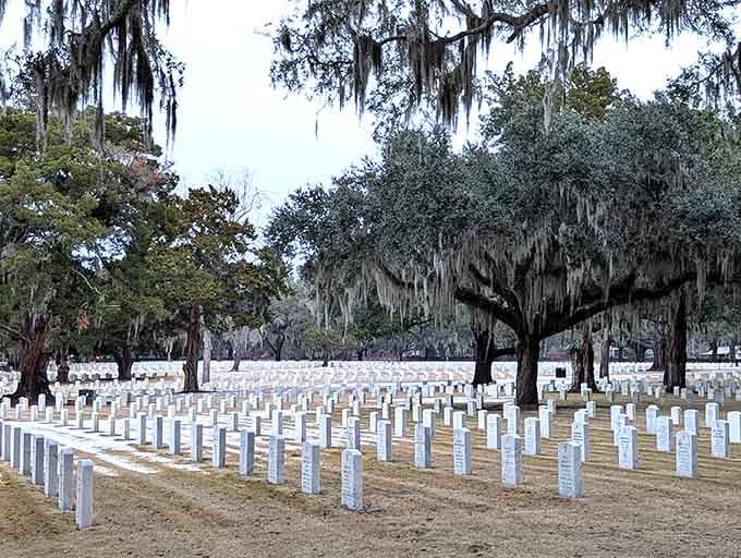 Spanish moss drapes over the National Cemetery, creating scenes of solemn beauty that remind us history runs deep here.