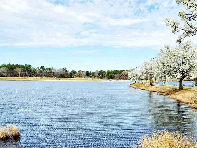 Lake Wallace offers the kind of peaceful water views that make you forget your phone exists.