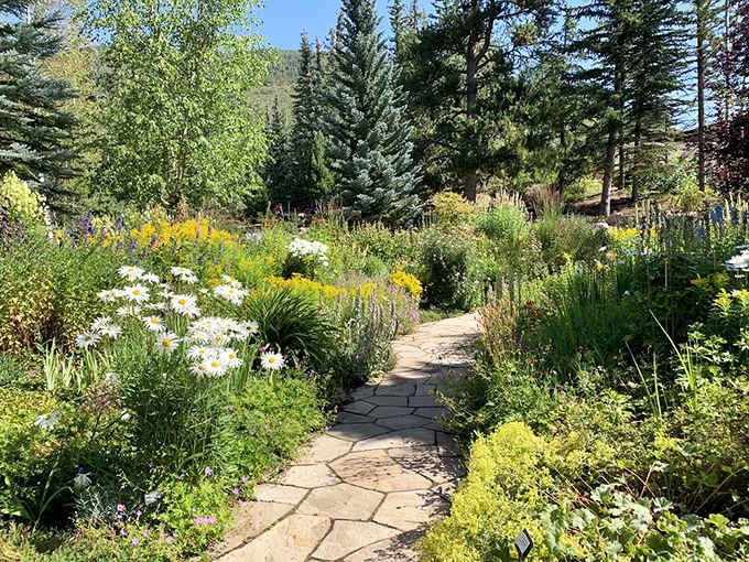 Wandering these flower-lined paths feels like stepping into a painting, except the colors are somehow even more vibrant.