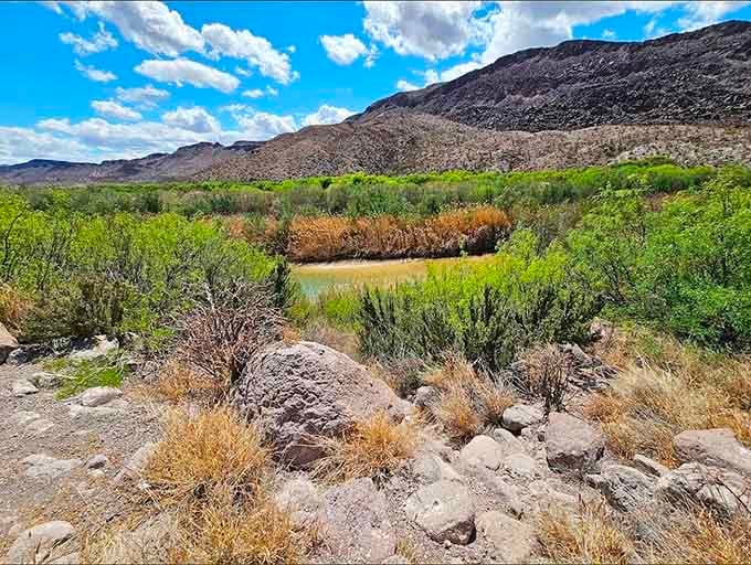 Spring transforms the desert into an unexpected garden that would make any landscape designer jealous.