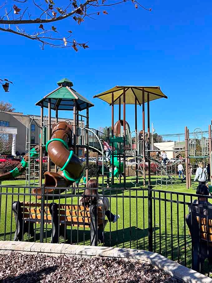 This playground equipment looks like it was designed by someone who actually remembers what fun feels like without a screen.