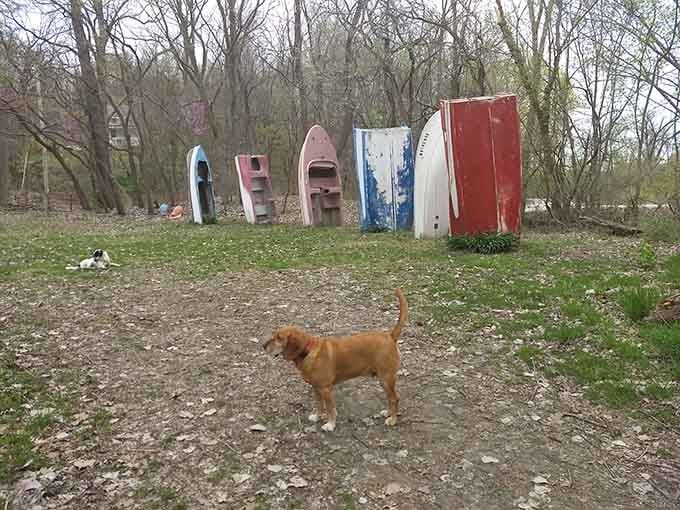 Even four-legged visitors pause to contemplate the sheer audacity of vertical watercraft in landlocked Missouri.