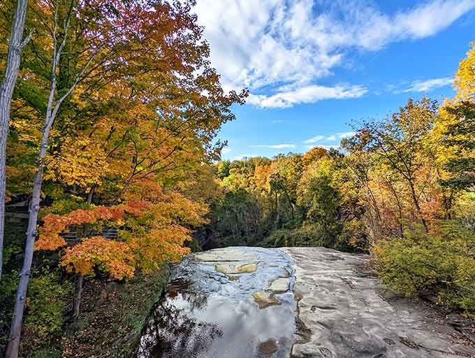 Above the falls, the creek flows smooth as glass over ancient rock before taking its dramatic plunge.
