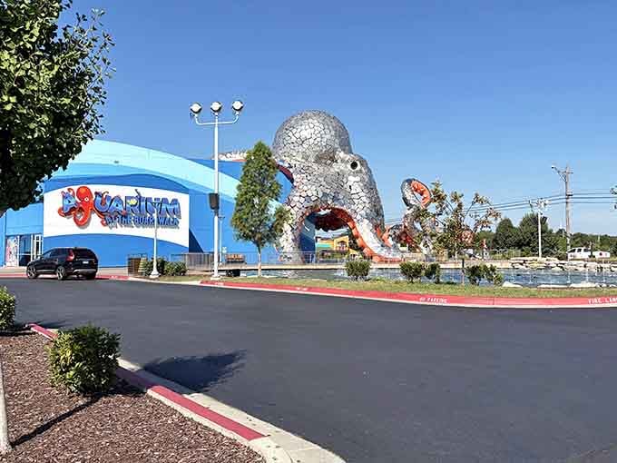 Giant octopus sculpture welcomes you to underwater adventures where the fish are friendlier than your average seafood restaurant.