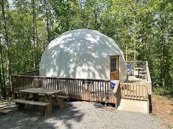 Each dome comes with its own deck and picnic table for outdoor dining minus the ants.