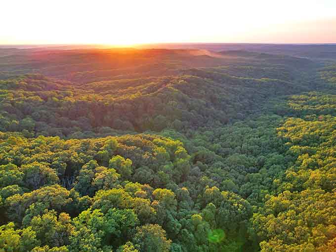 Golden hour hits different when you're surrounded by endless forest that stretches beyond the horizon.